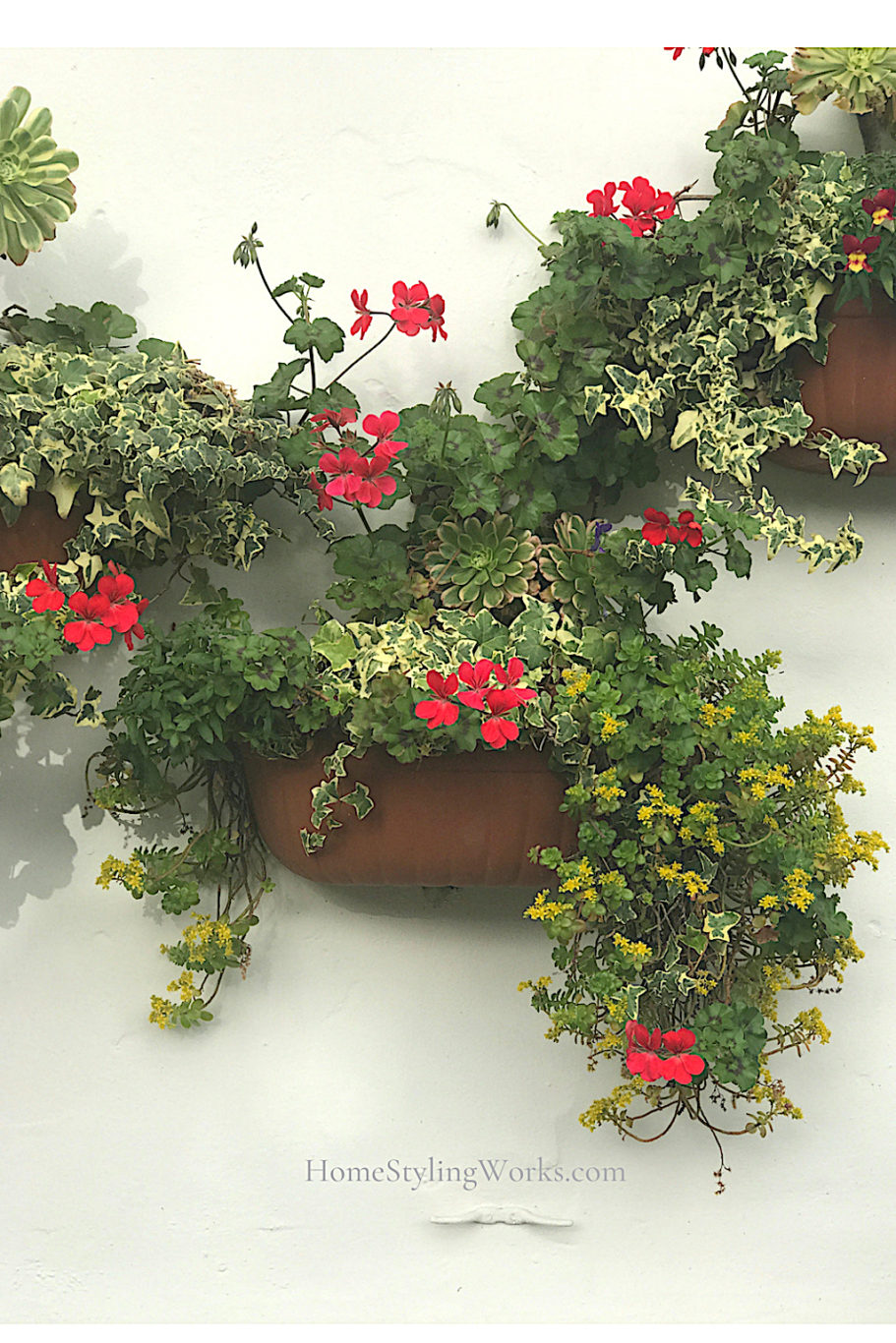 HOW TO MAKE BEAUTIFUL CONTAINER GARDENS WITH GERANIUMS - Home Styling Works