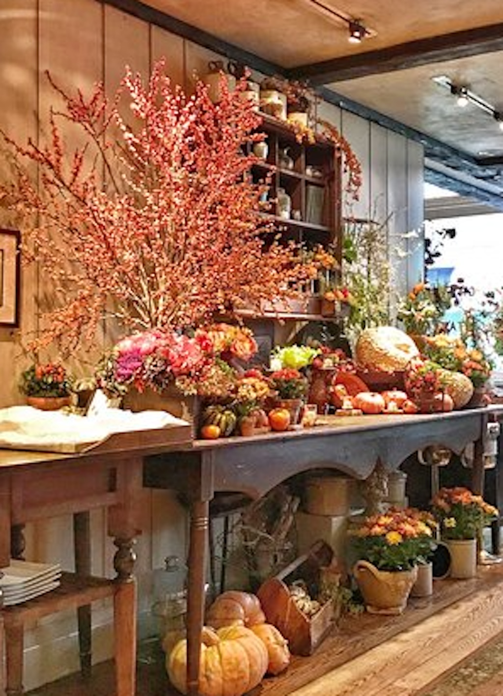 COOKBOOKS BEAUTIFUL ENOUGH FOR THE COFFEE TABLE - Home Styling Works