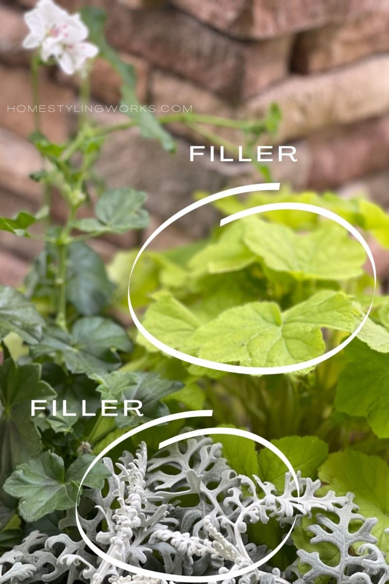 HOW TO MAKE BEAUTIFUL CONTAINER GARDENS WITH GERANIUMS - Home Styling Works