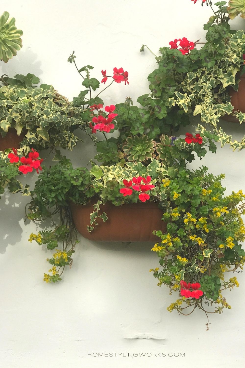 THE ONE FLOWER I NEVER PLANT IN THE GROUND - Home Styling Works