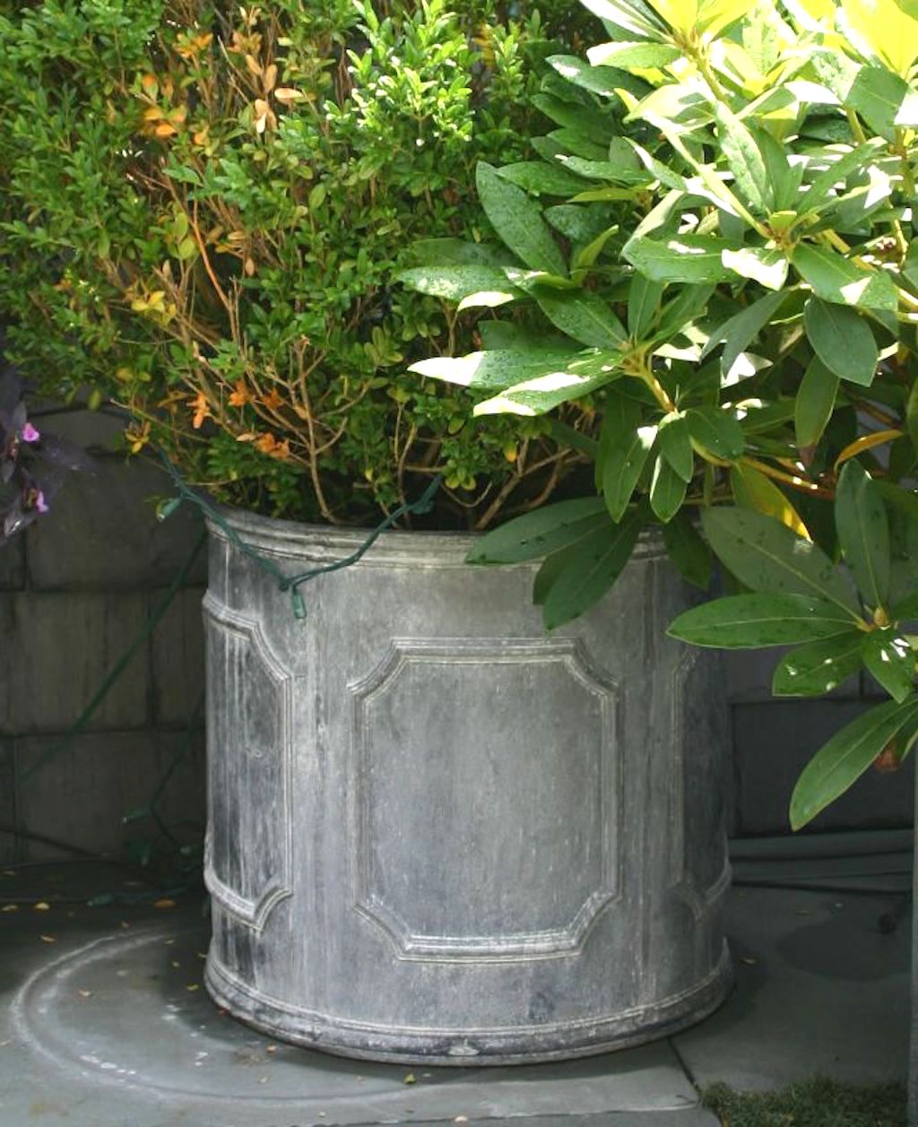 HOW TO MAKE BEAUTIFUL CONTAINER GARDENS WITH GERANIUMS - Home Styling Works