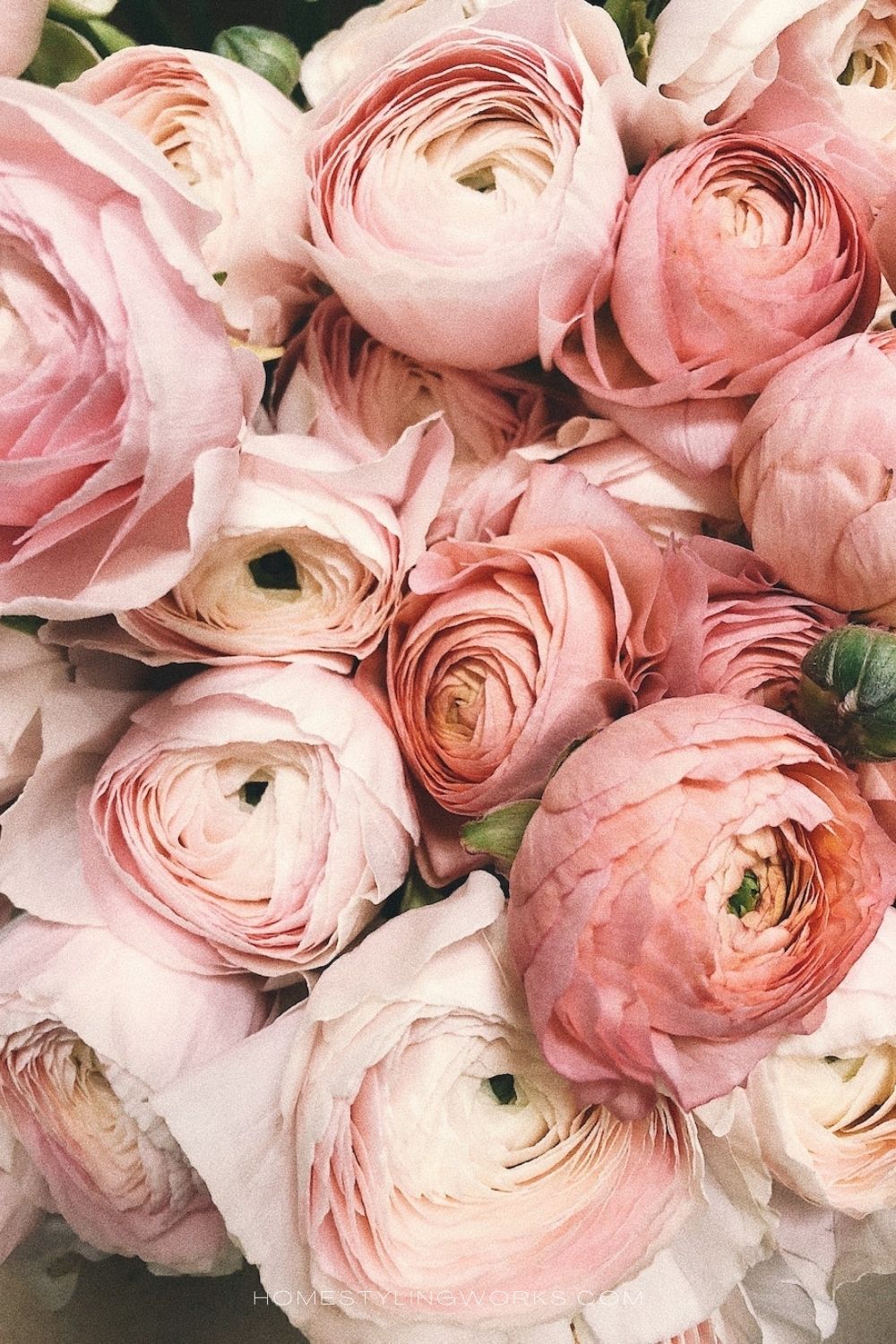 MAKE ME BLUSH: STYLING YOUR HOME WITH THE NEW "IT" COLOR - Home Styling ...