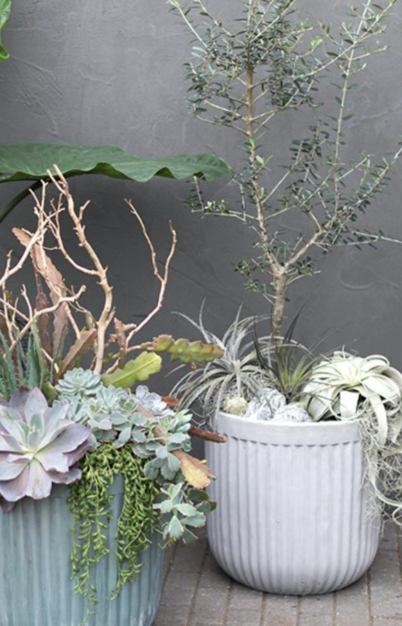 (MORE THAN) FIFTY SHADES OF GRAY IN THE GARDEN - Home Styling Works