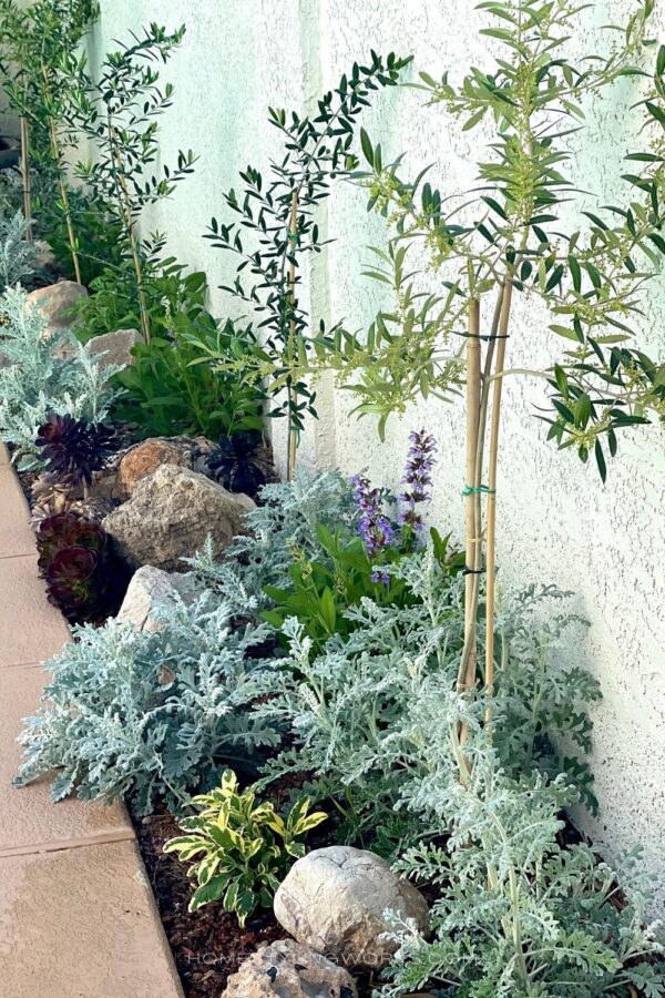 (MORE THAN) FIFTY SHADES OF GRAY IN THE GARDEN - Home Styling Works