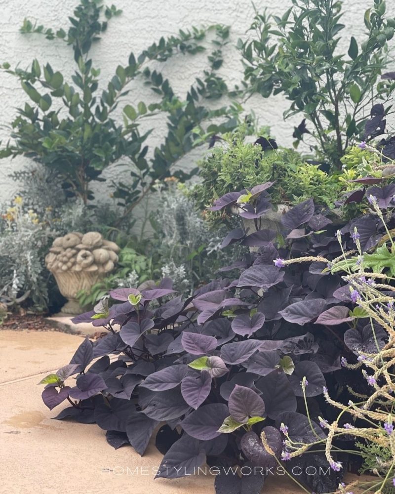 TAKE YOUR GARDEN TO THE DARK SIDE - Home Styling Works